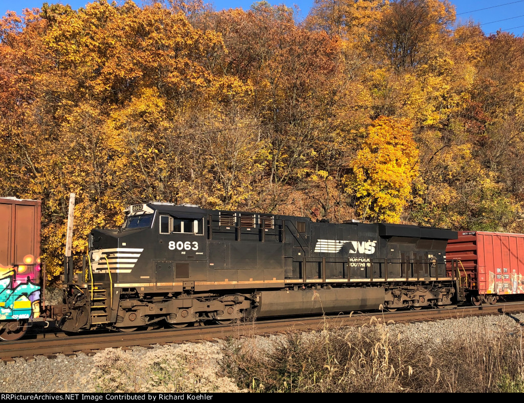 NS 8063 DPU-ing